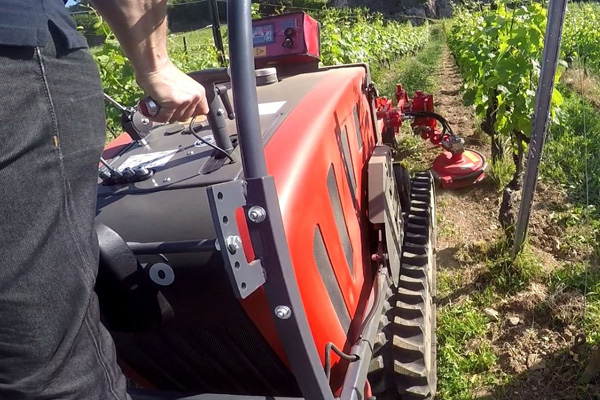 Radio Chablais - Le Valais veut encourager la viticulture responsable